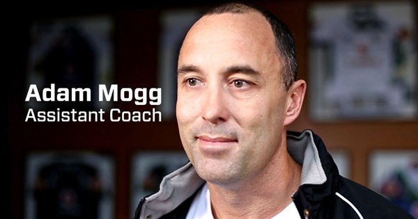 Mogg signed as assistant coach | Warriors